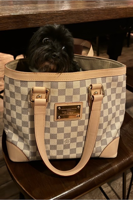 Posh Show - Poshmark